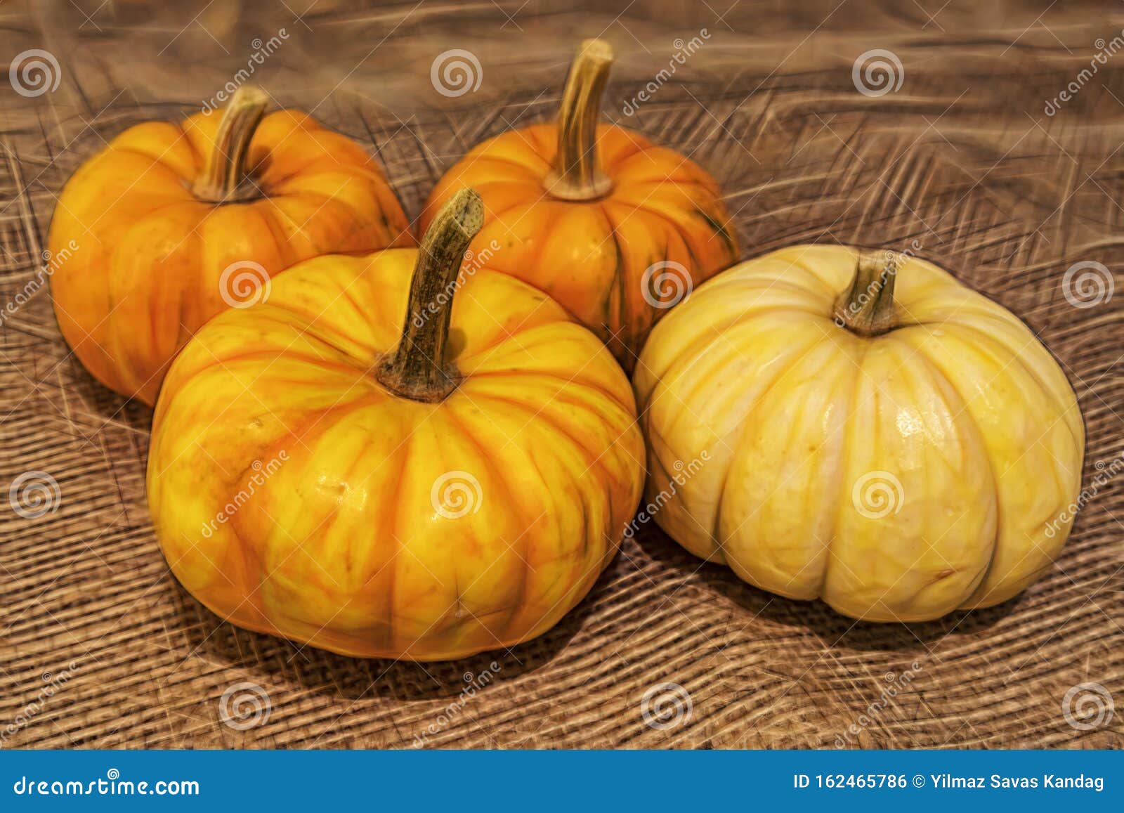 Small Pumpkins on Wicker Fabric Stock Photo - Image of agriculture ...