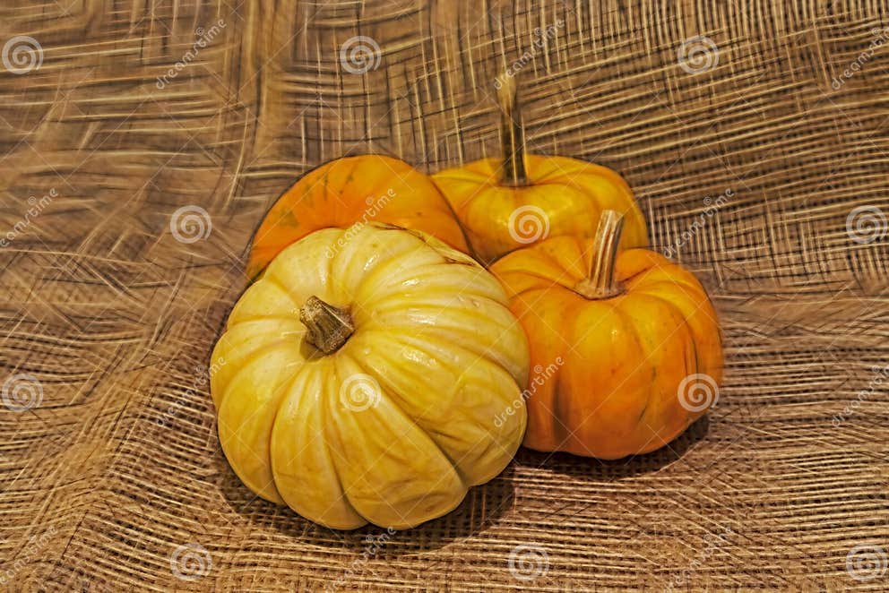 Small Pumpkins on Wicker Fabric Stock Image - Image of horror, holiday ...