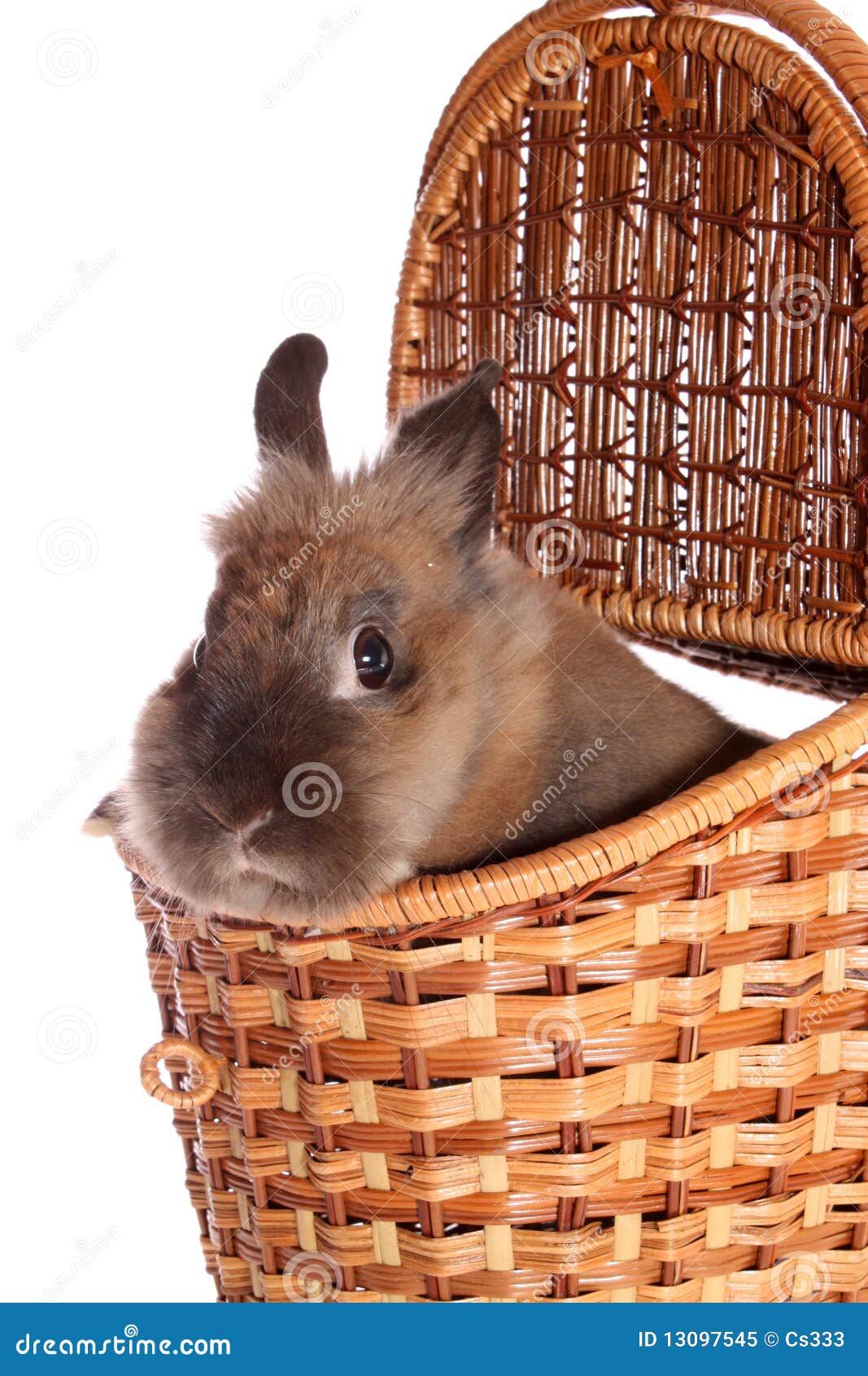 Small Rabbit in Basket ,isolated. Stock Image - Image of brown, basket ...