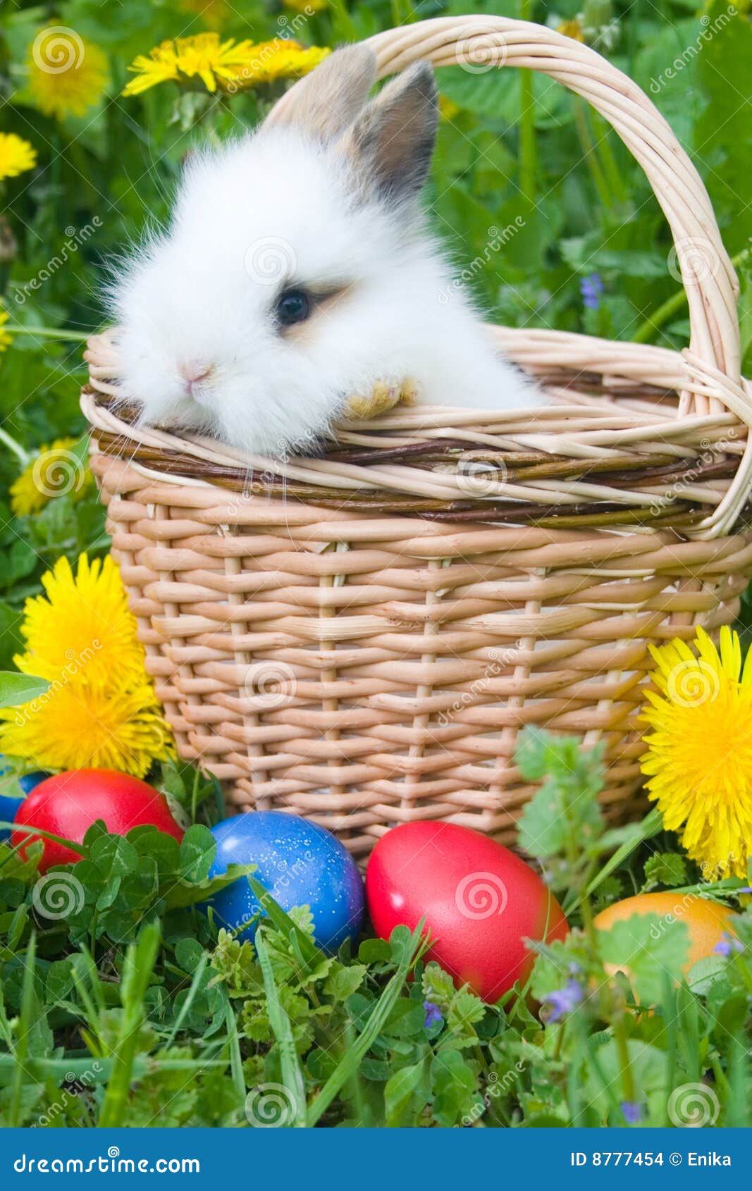 The Small Rabbit and Easter Eggs in a Grass Stock Photo - Image of ...