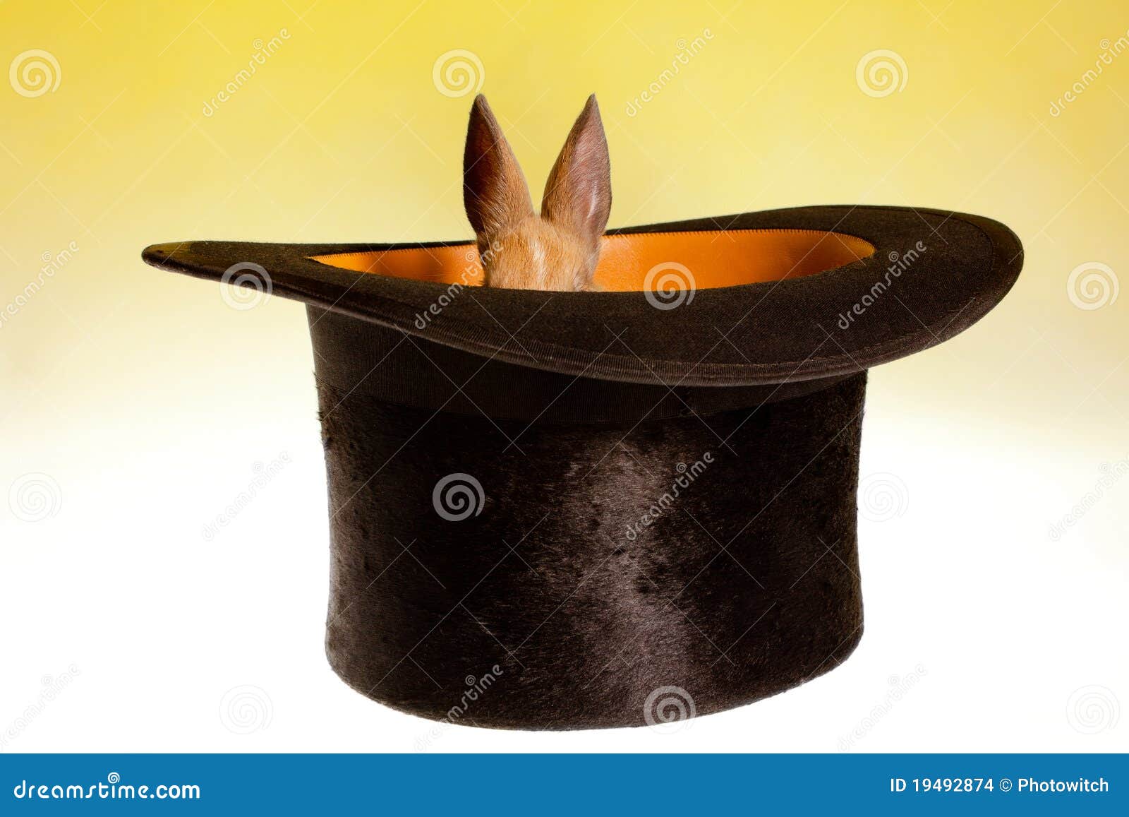 Small Rabbit in a Magic Hat Stock Photo - Image of entertainment, trick ...
