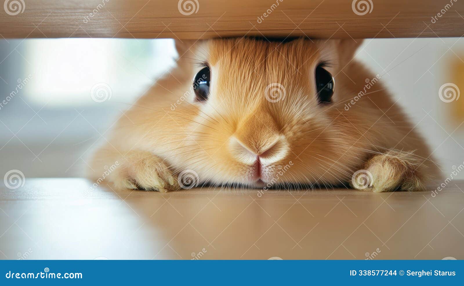 A Small Rabbit Peeking Out from Under a Table with Its Eyes Closed, AI ...