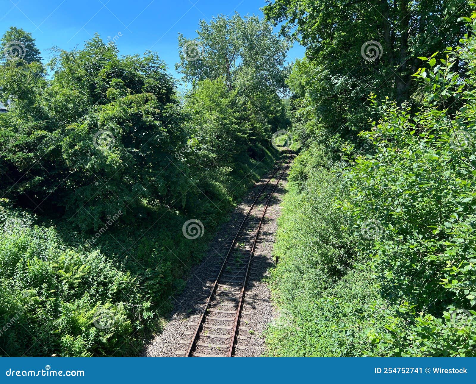 Small Railroad through a Forest. Stock Image - Image of beautiful ...