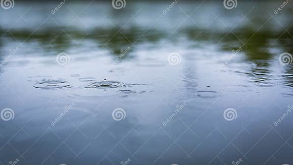 Rain Drops on Water Surface Stock Image - Image of outdoors, lake ...