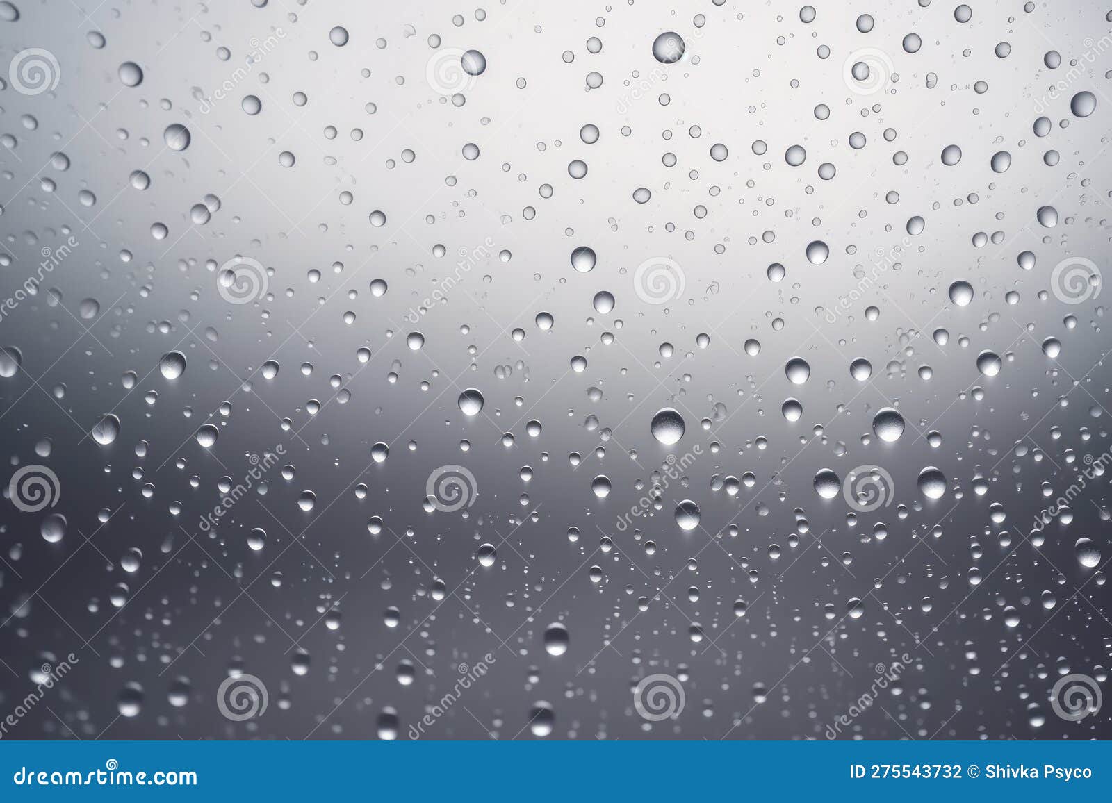 Small Raindrops Fall On The Green Leaves Of Ferns Royalty-Free Stock ...