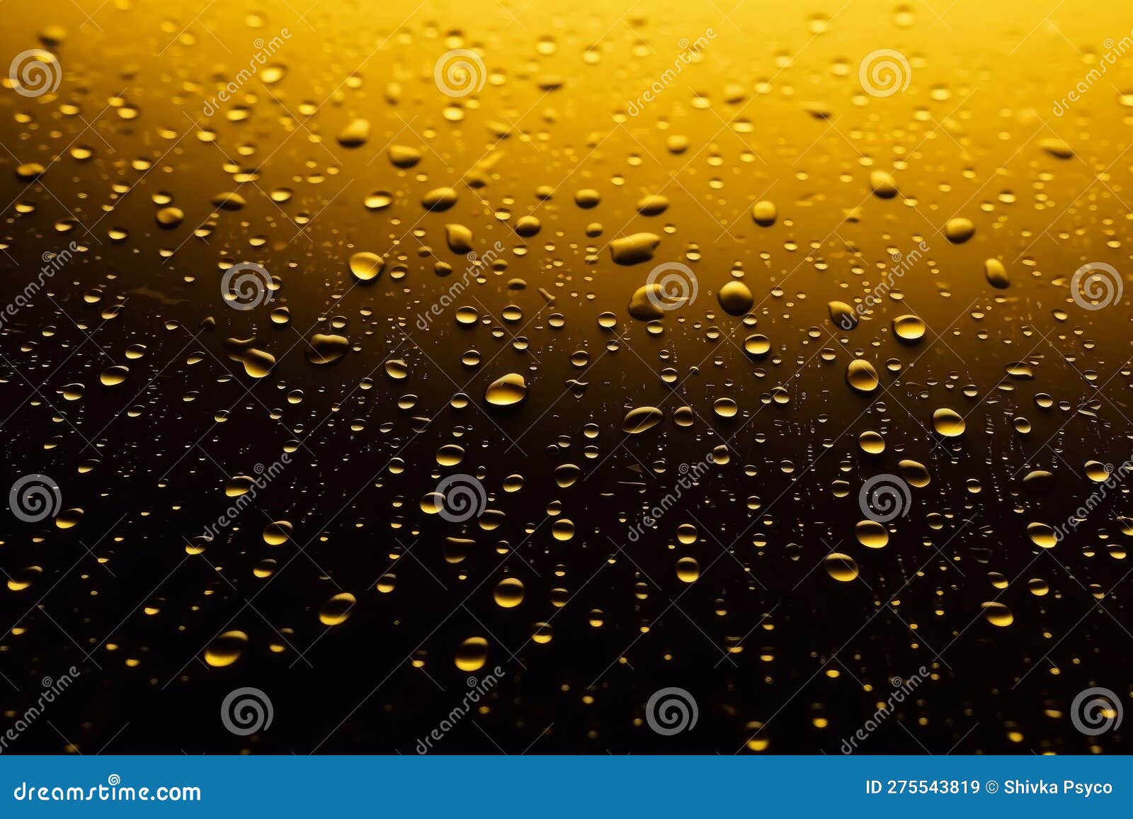 Small Raindrops Fall On The Green Leaves Of Ferns Royalty-Free Stock ...