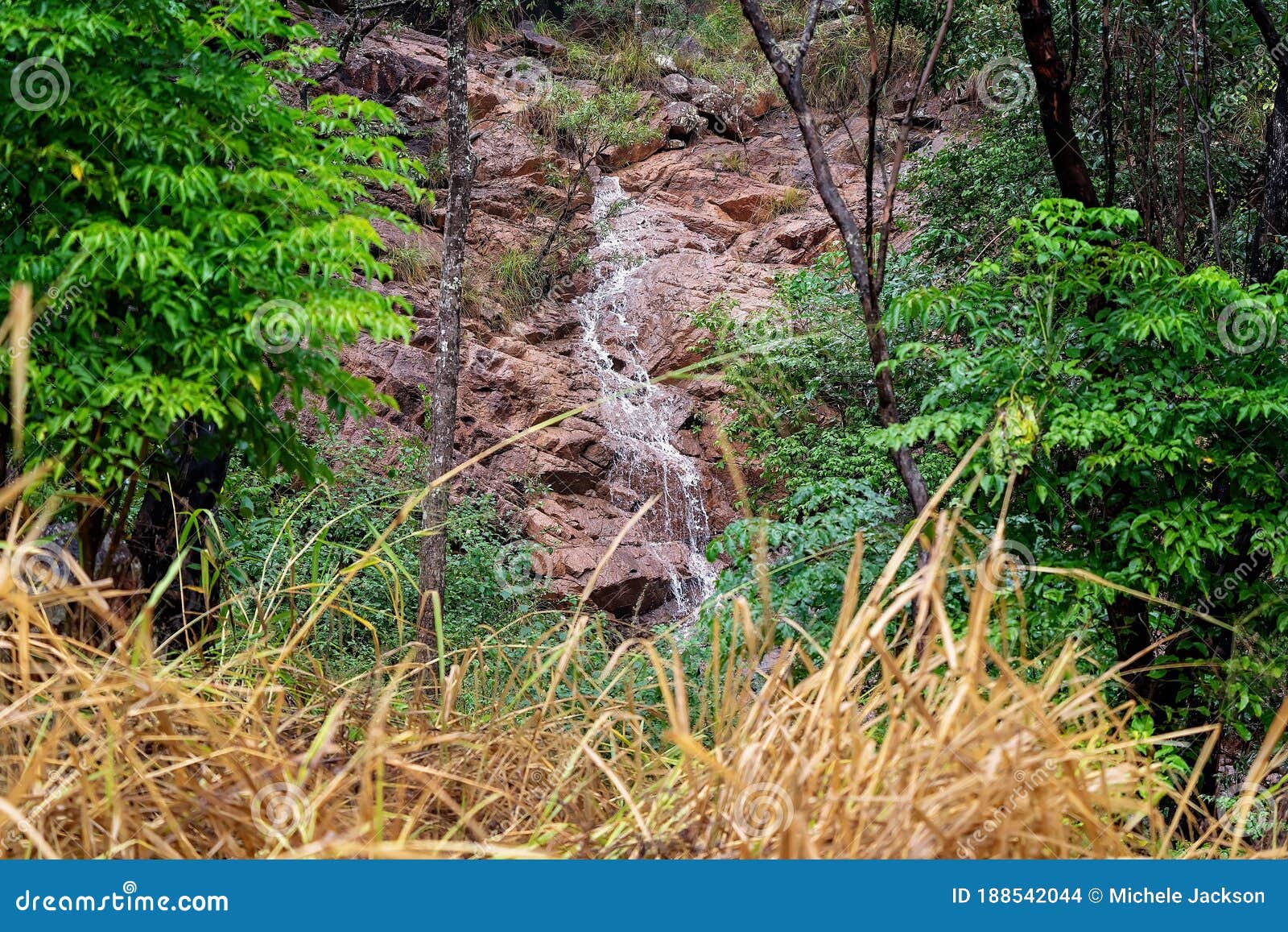 A Small Rainforest Waterfall Over Rocks Stock Photo - Image of ...