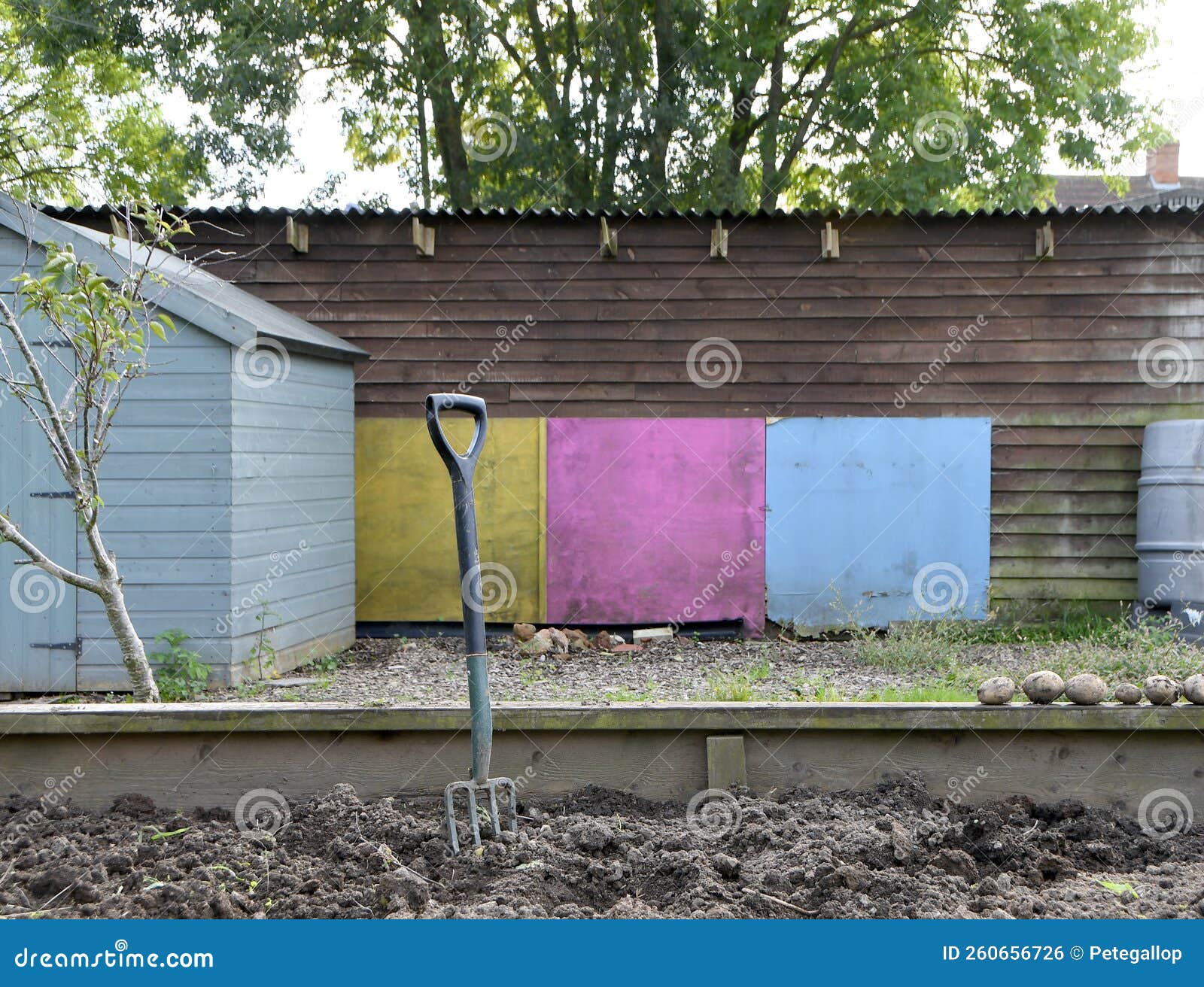 A Small Allotment Patch Freshly Dug Ready To Sow Stock Photo - Image of ...