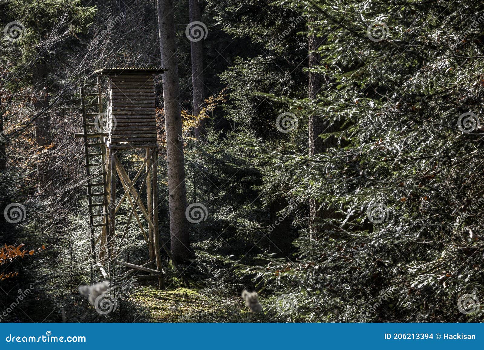 Small Raised Hide for Hunting in the Middle of the Forest Stock Photo ...