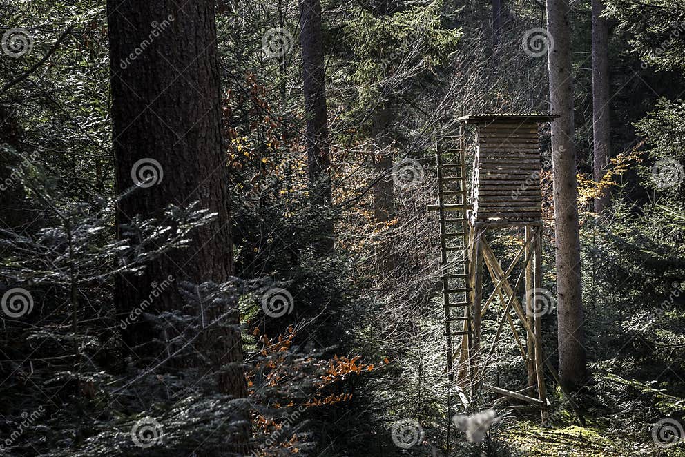 Small Raised Hide for Hunting in the Middle of the Forest Stock Photo ...
