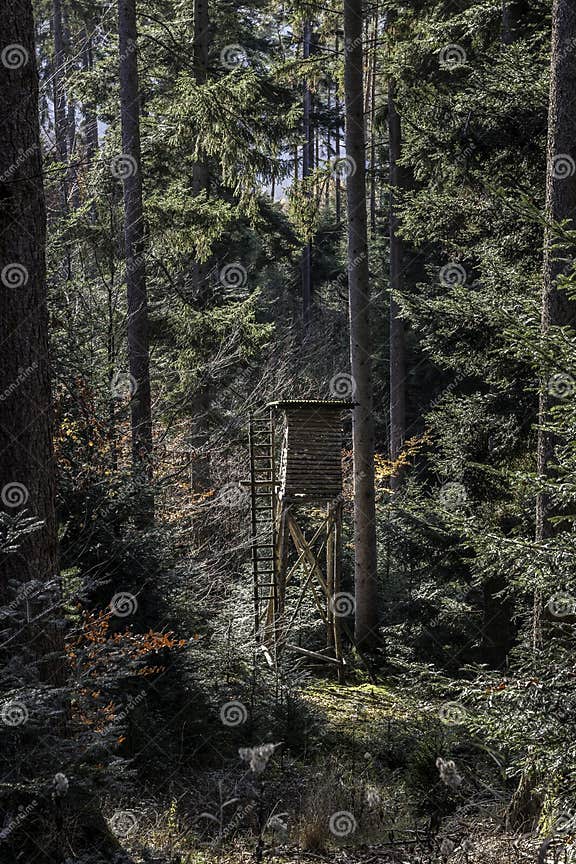 Small Raised Hide for Hunting in the Middle of the Forest Stock Image ...