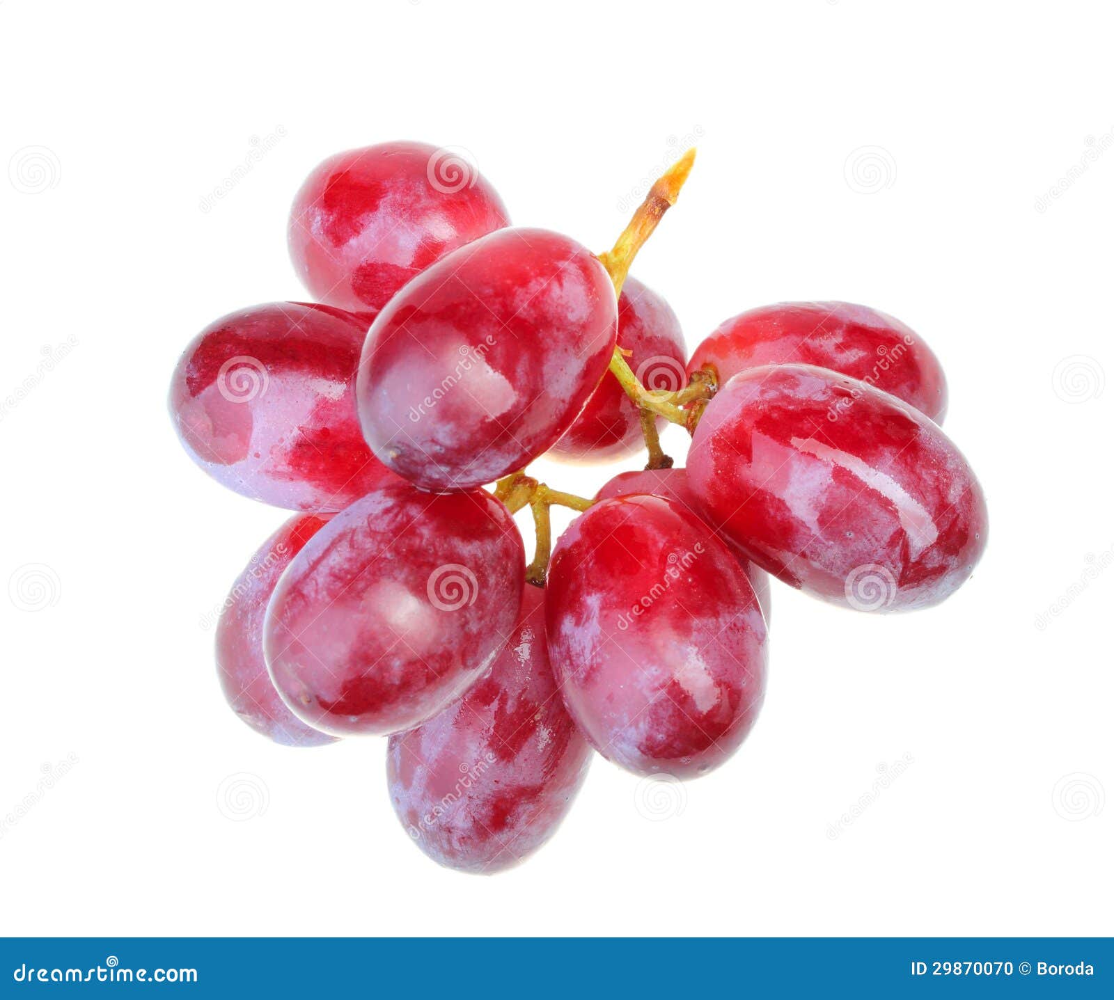 Small Branch of Fresh Red Grape Stock Photo - Image of grape, small ...