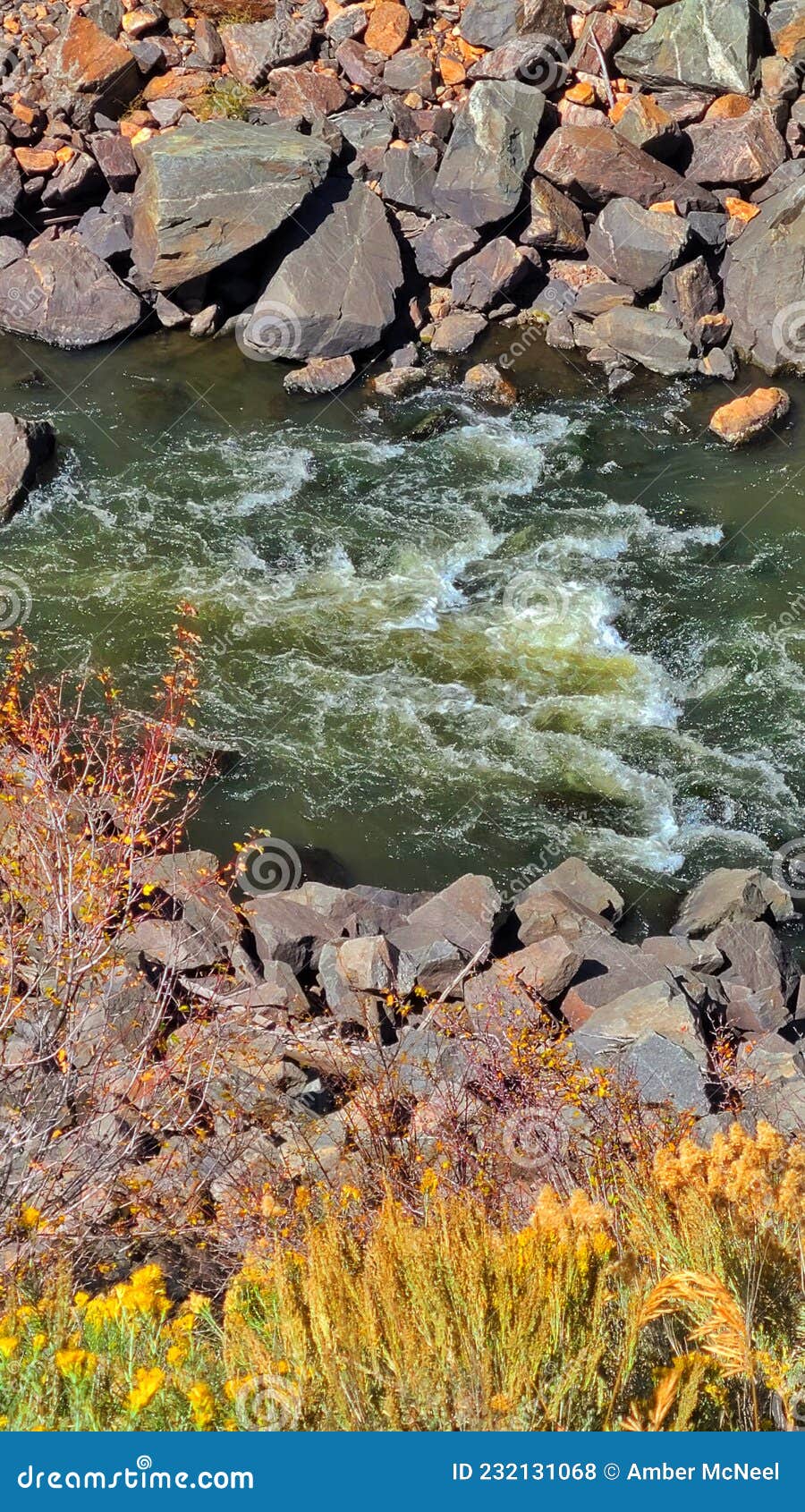 Small rapids creek section stock photo. Image of waterfall - 232131068