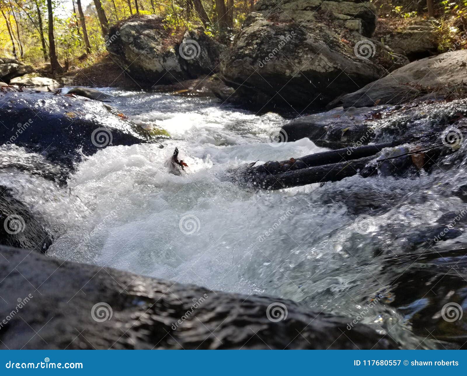 Small Rapids in stream stock image. Image of stream - 117680557