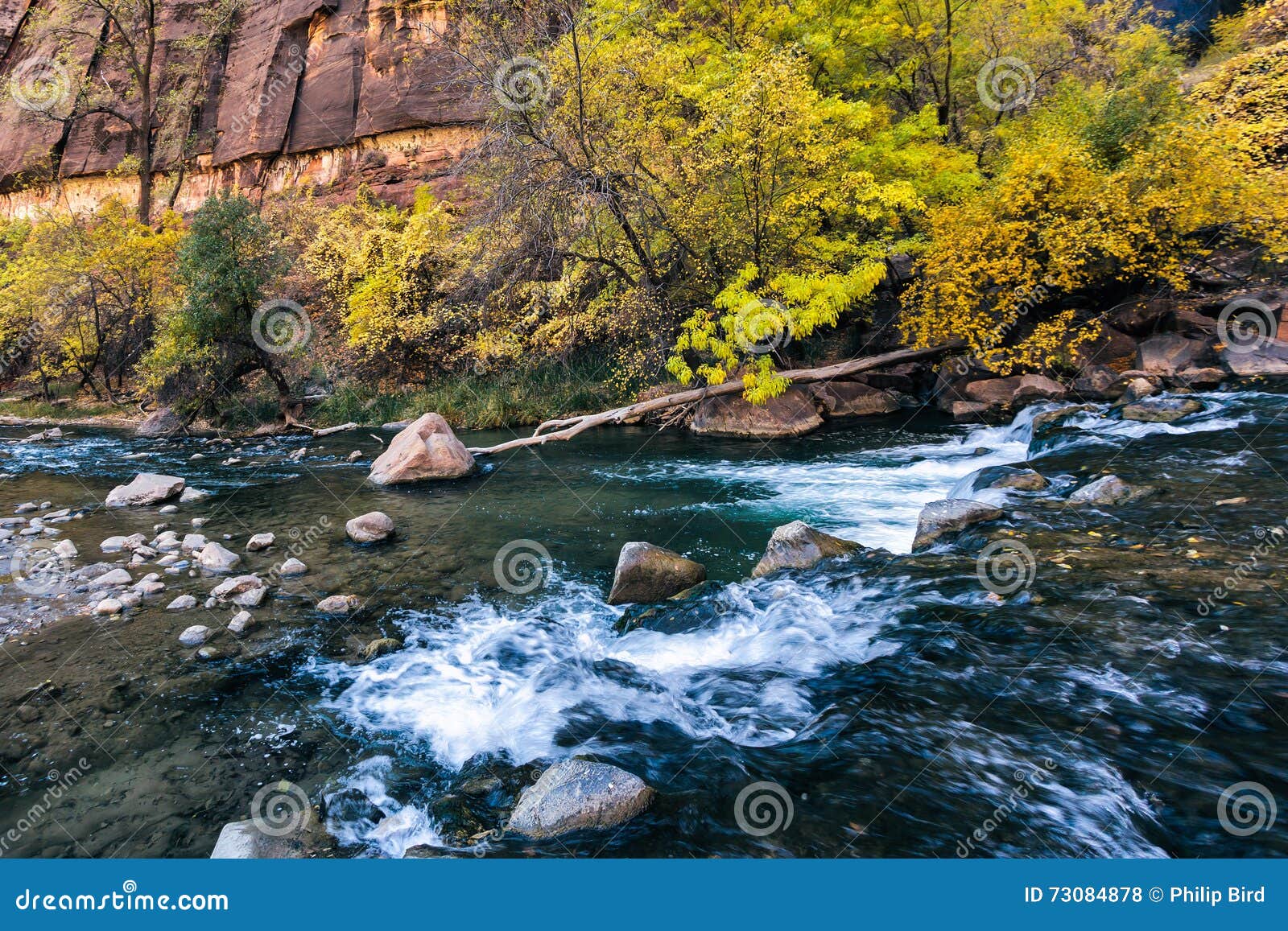 Small Rapids on the Virgin River Stock Photo - Image of horizontal ...