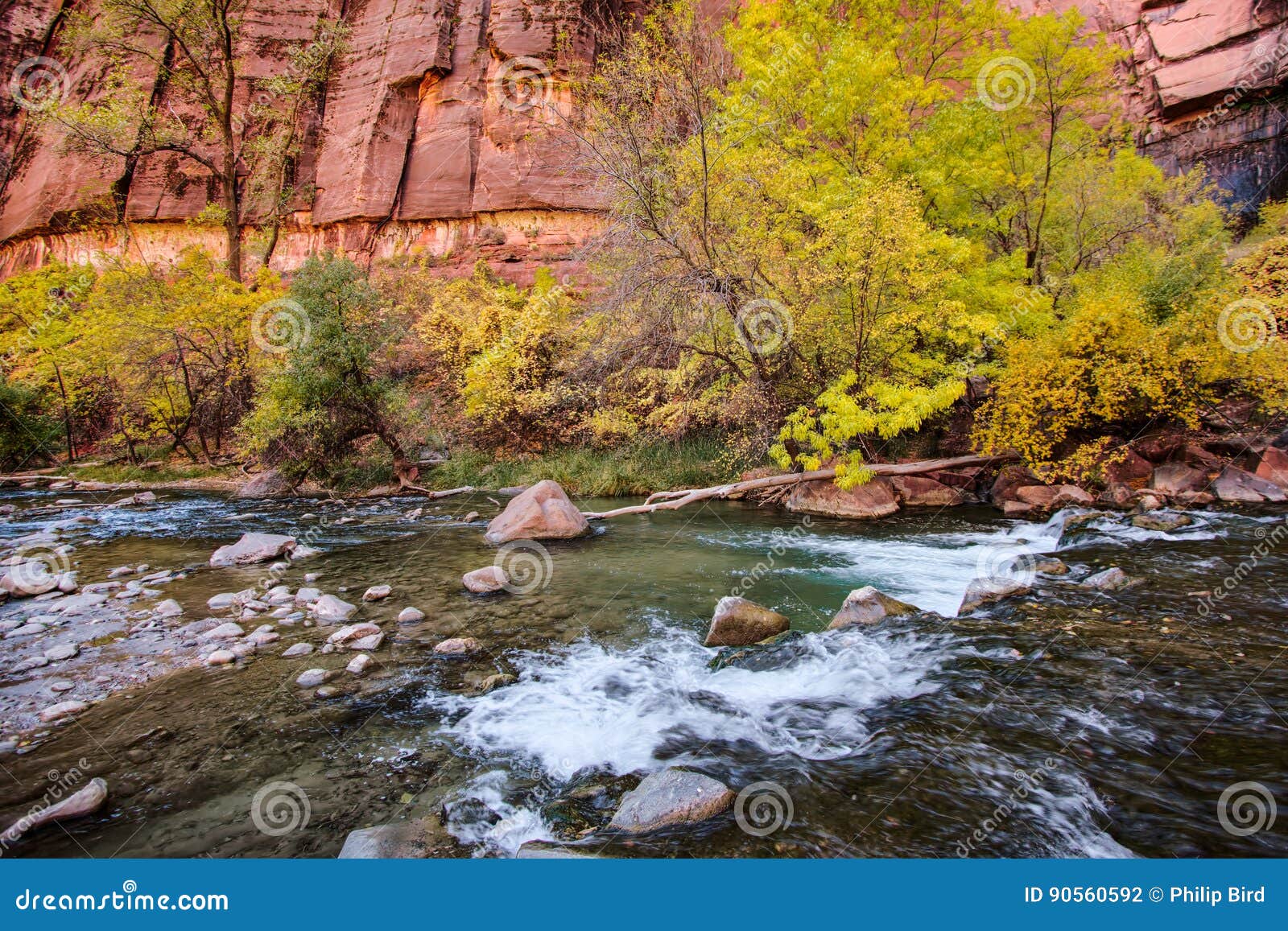 Small Rapids on the Virgin River Stock Photo - Image of area, autumn ...