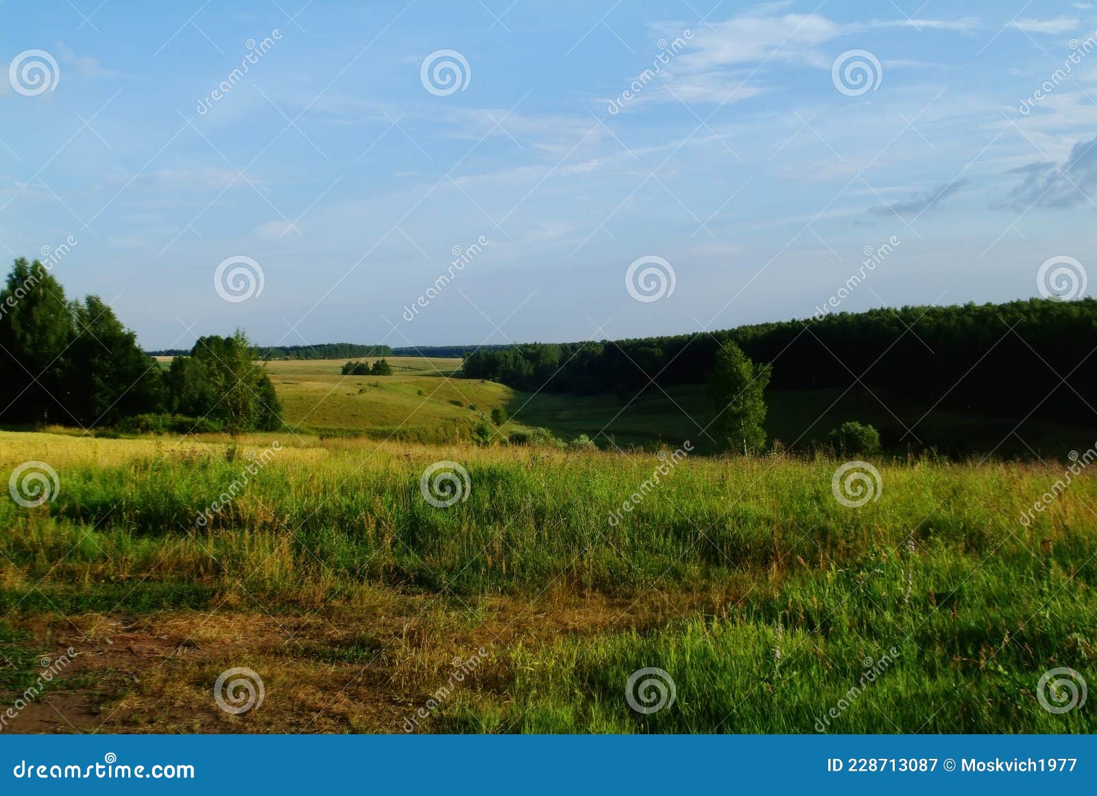 Small Ravine on a Clear Day Stock Image - Image of clean, environment ...