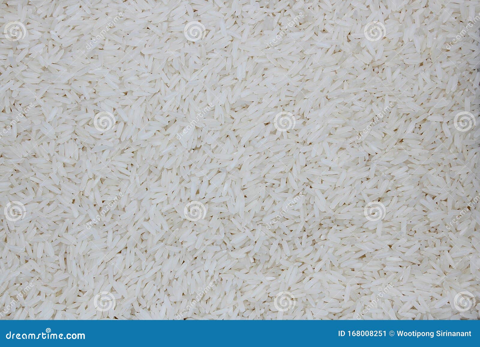 Small raw white rice grain stock image. Image of closeup - 168008251