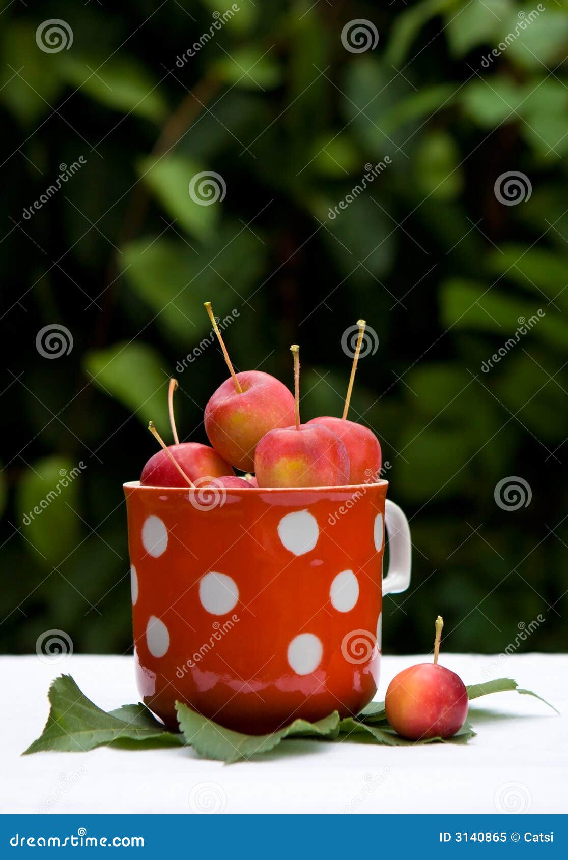 Small red apples stock image. Image of harvest, apple - 3140865