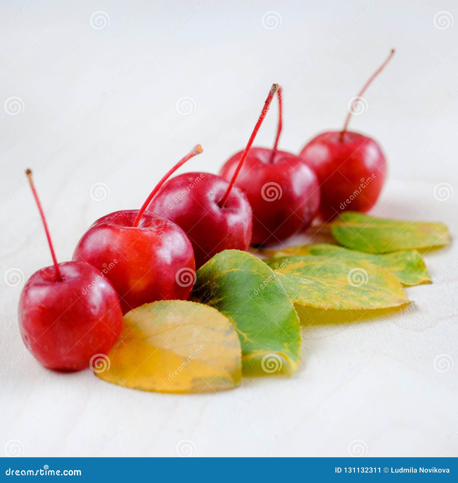 Small Red Apples and Autumn Leaves Stock Image - Image of organic ...