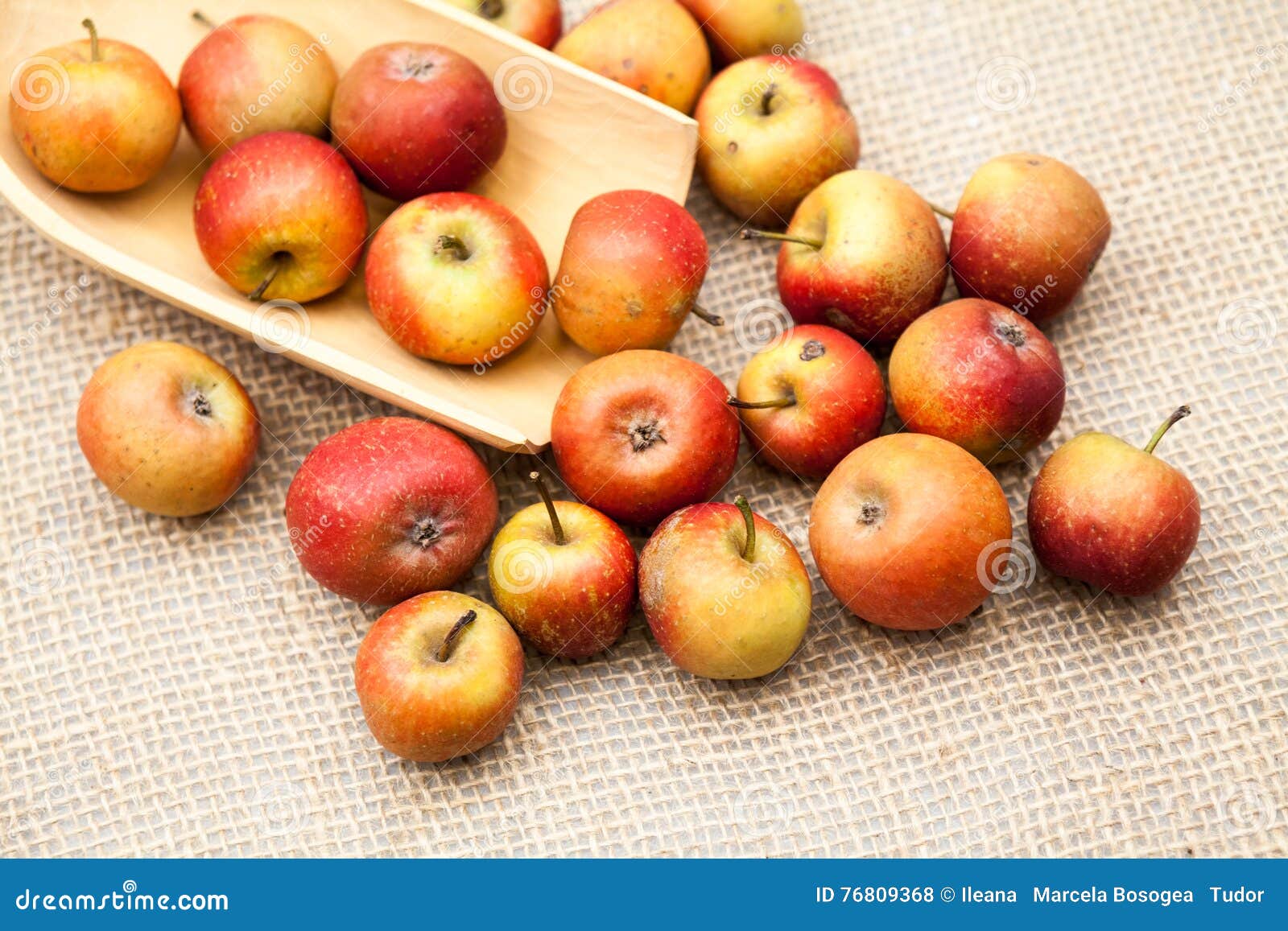 Small, red apples stock photo. Image of food, healthy - 76809368