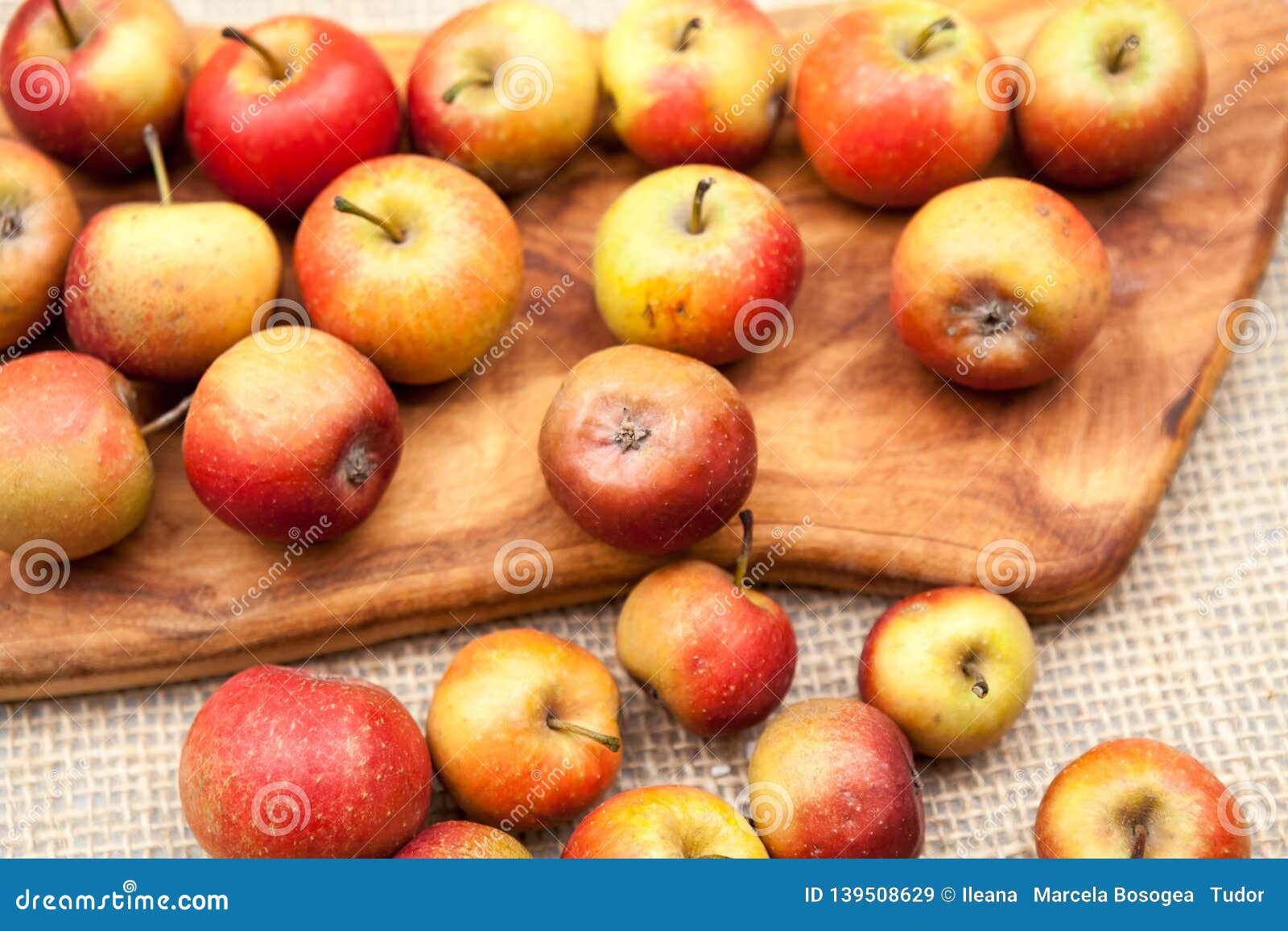 Small, red apples stock image. Image of fresh, green - 139508629