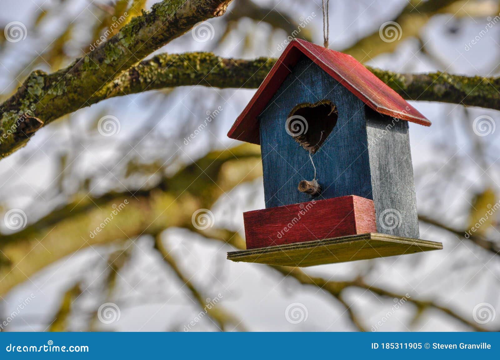 Bird Box Hanging on a Tree in Winter. Stock Image - Image of garden ...