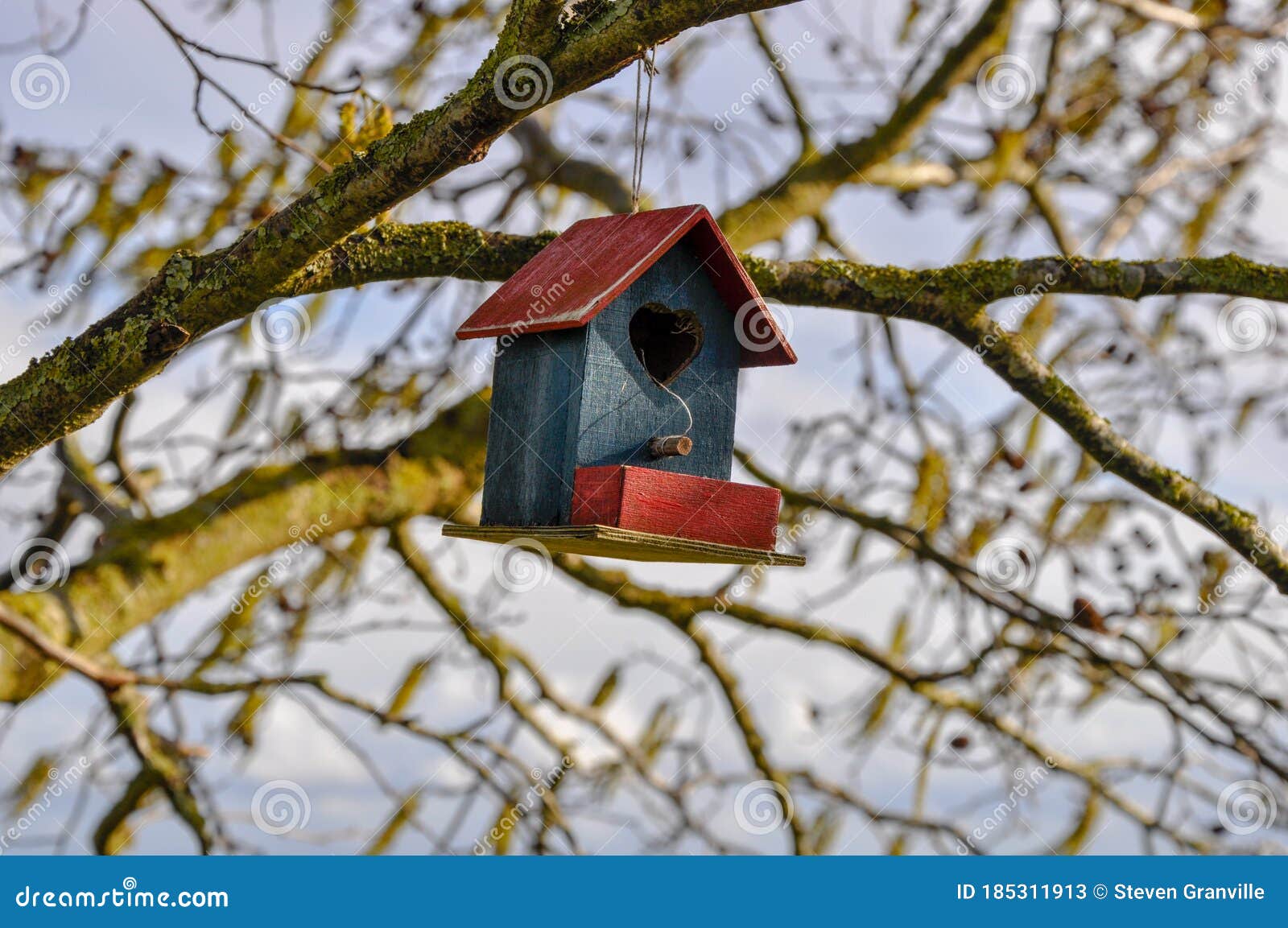 Bird Box Hanging on a Tree in Winter. Stock Image - Image of paint ...