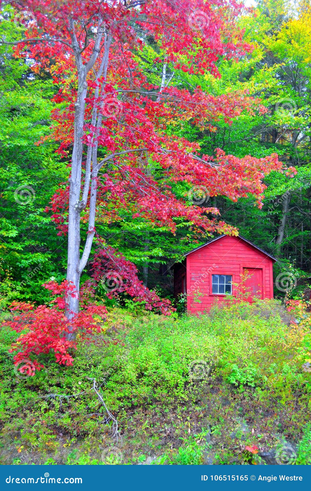 Red Cabin in the Woods stock image. Image of wood, woods - 106515165