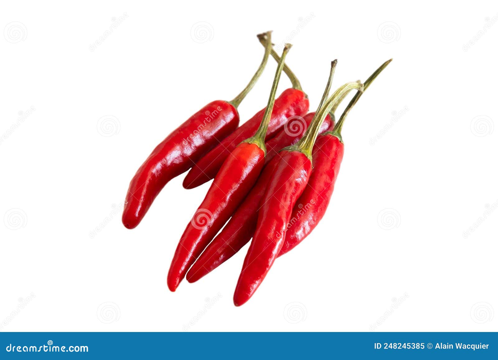Small Red Chili Peppers Isolated on a White Background Stock Image ...