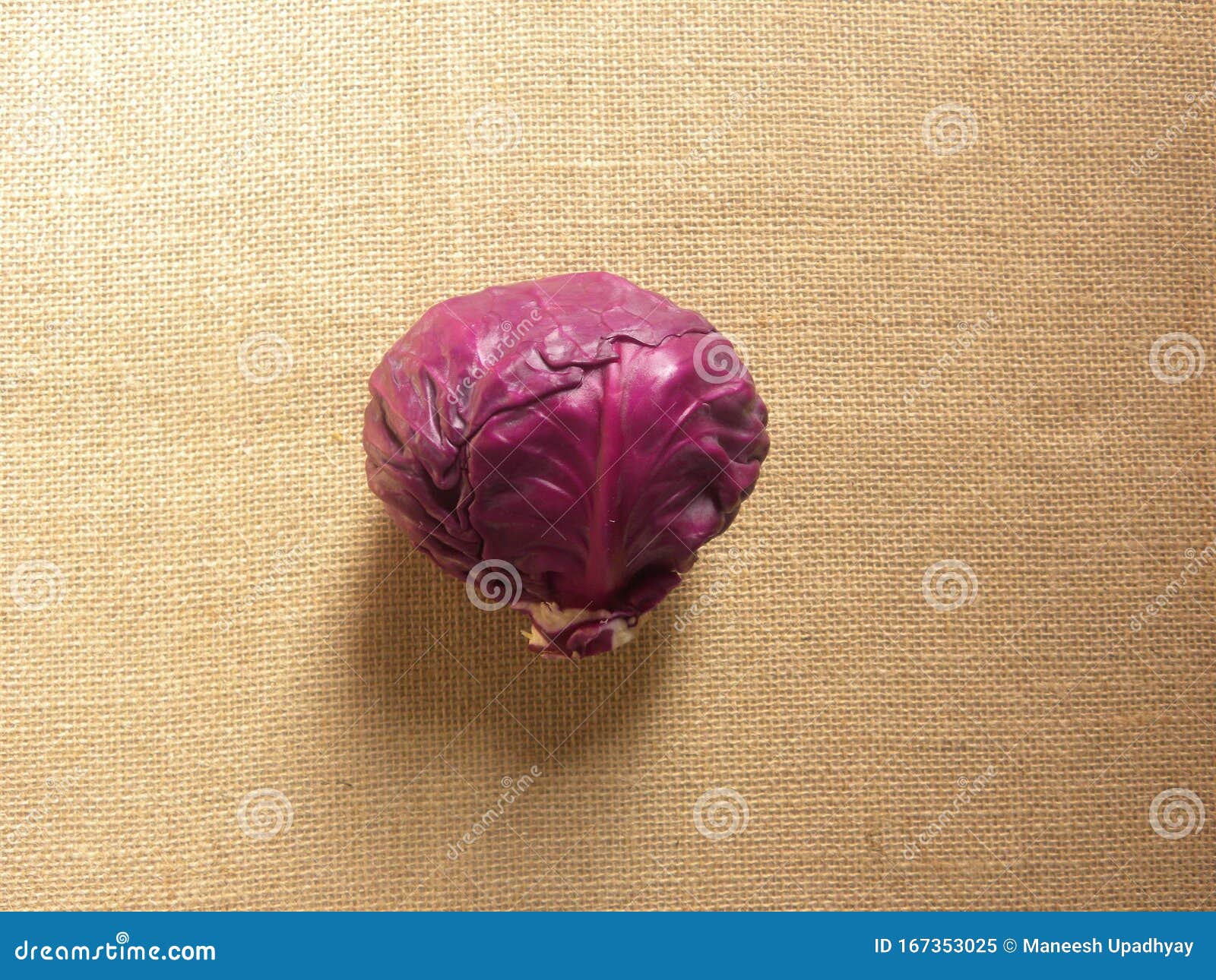 Small Red color cabbage stock image. Image of macro - 167353025