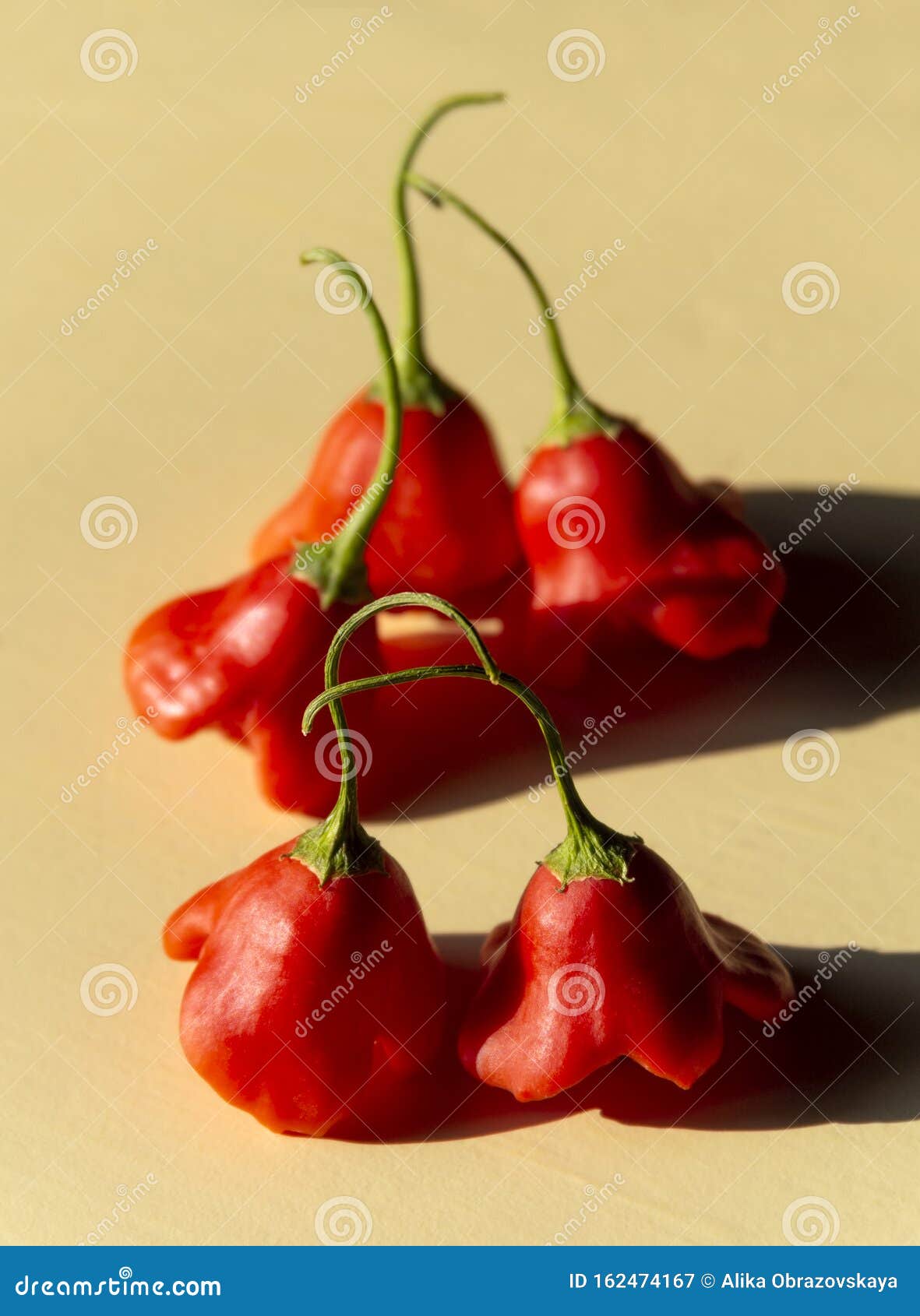 A Small Red Hot Pepper in the Form of a Bell on a Wooden Table in ...