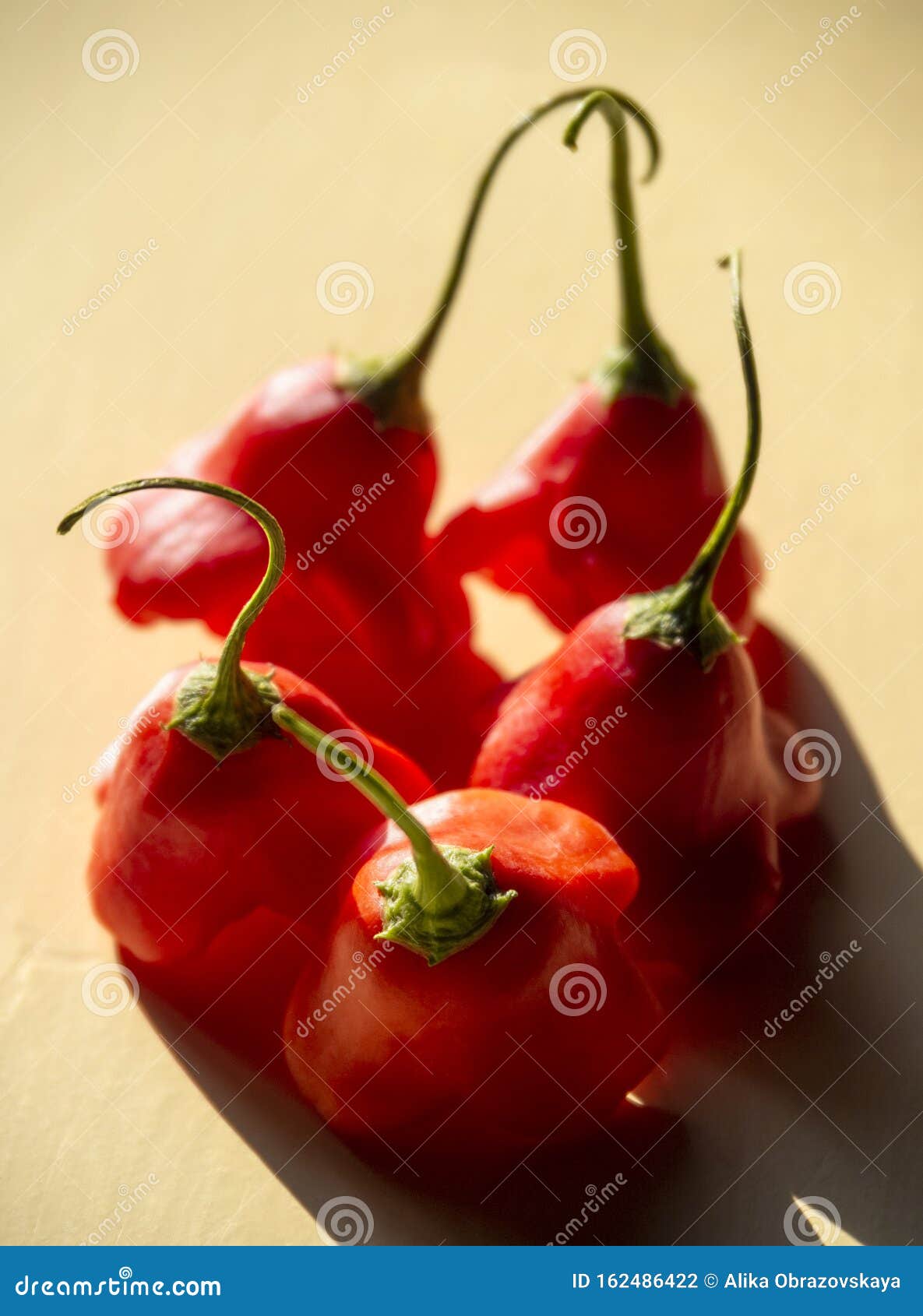 A Small Red Hot Pepper in the Form of a Bell on a Wooden Table in ...
