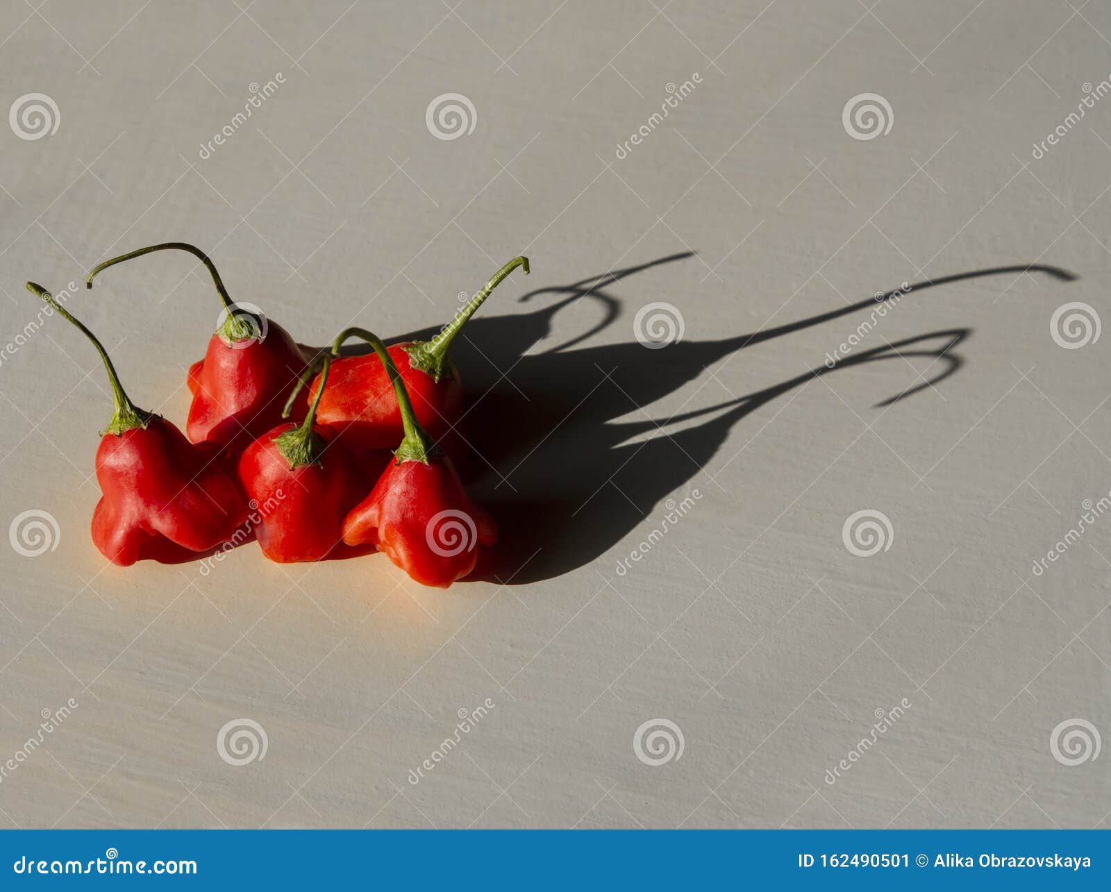 A Small Red Hot Pepper in the Form of a Bell on a Wooden Table in ...