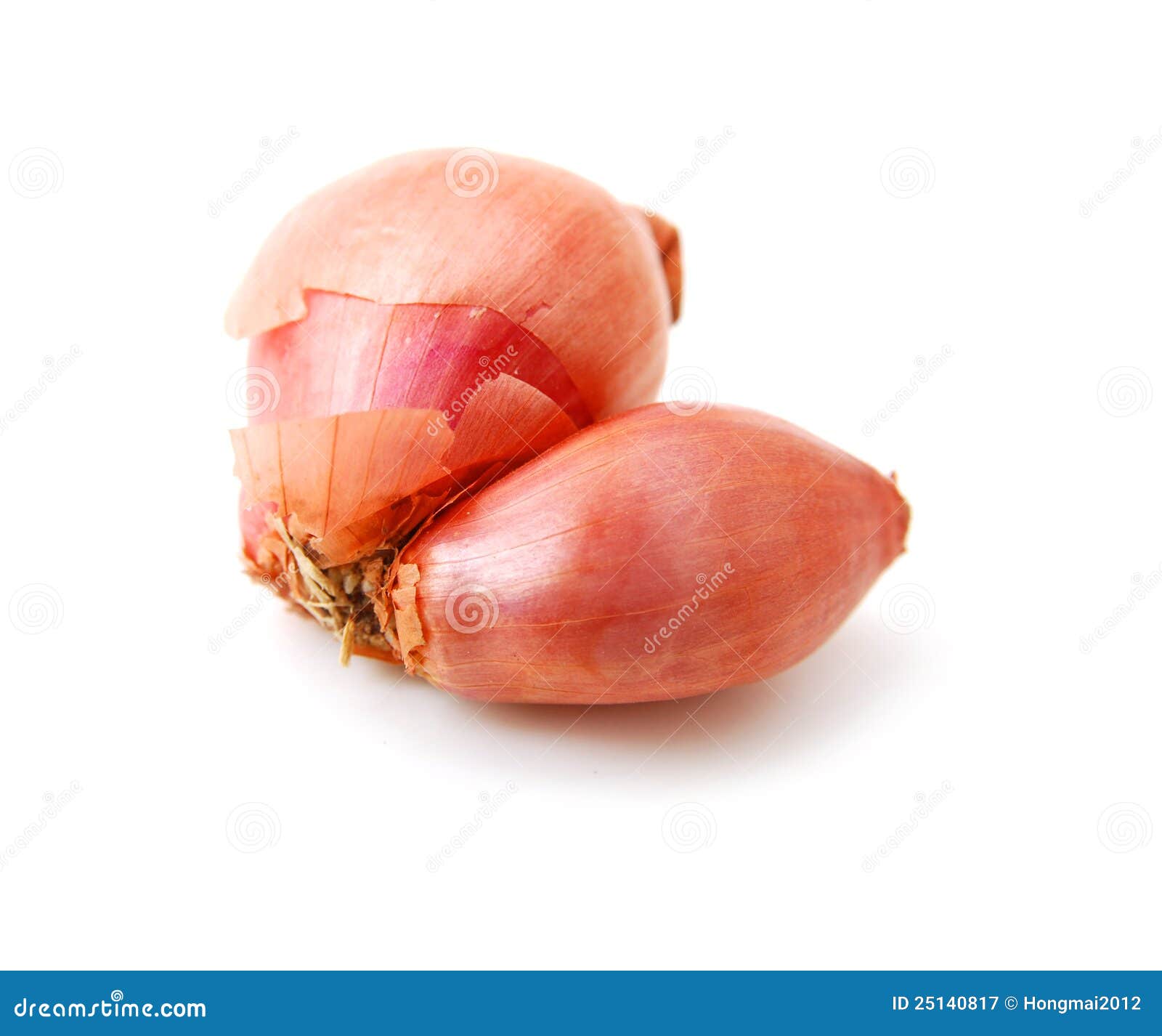 Small red onion stock image. Image of purple, health - 25140817