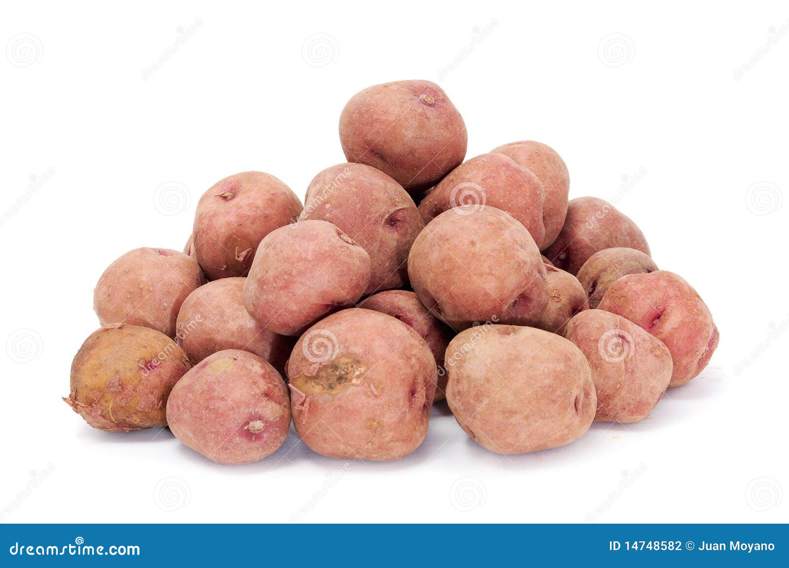 Small red potatoes stock photo. Image of meal, health - 14748582