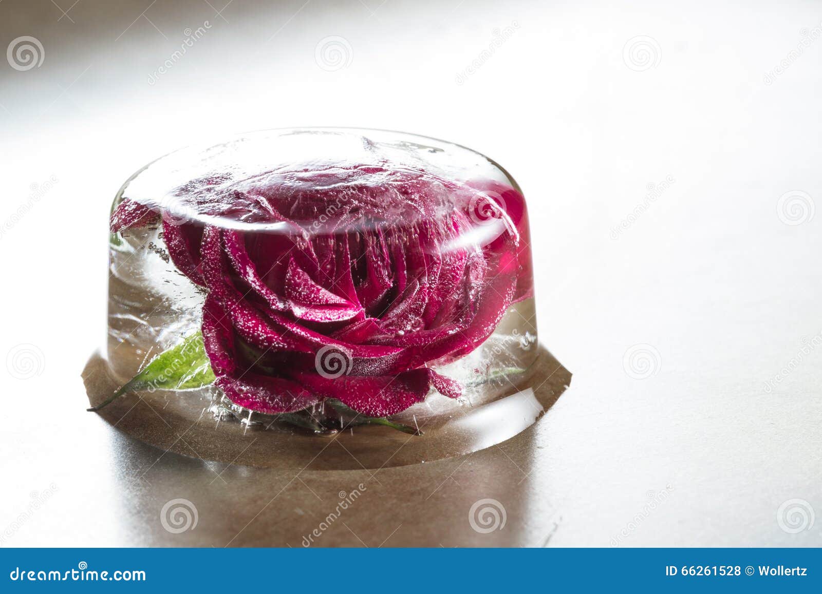Small Red Rose Frozen in a Block of Ice Stock Photo - Image of love ...