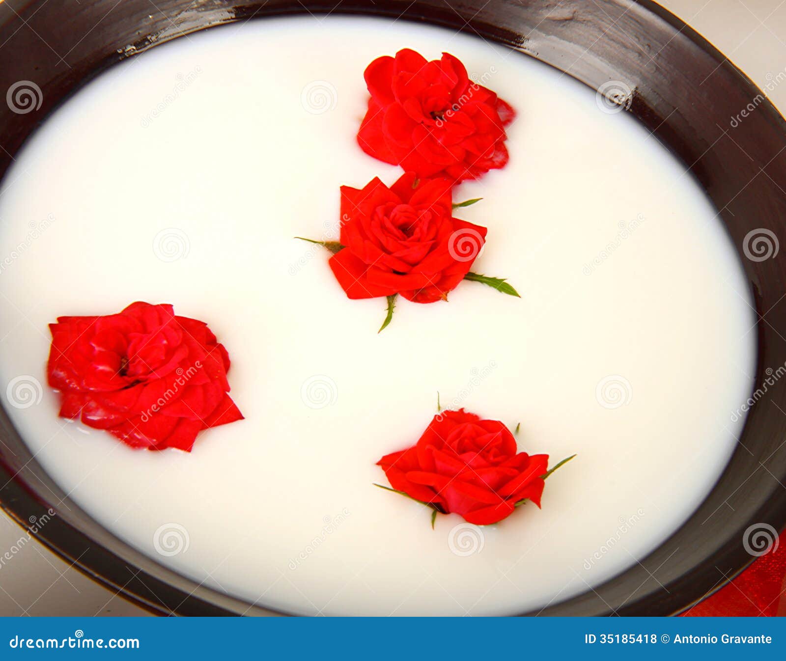 Small Red Roses in the Milk Stock Photo - Image of delicate, roses ...