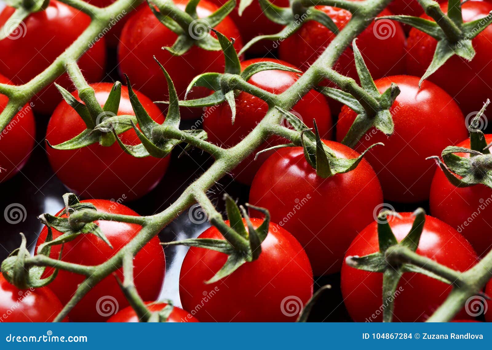 Small red tomatoes stock photo. Image of food, tomato - 104867284