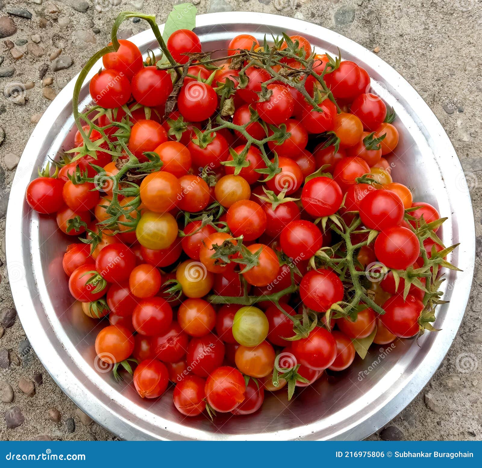 Small Red Tomotoes in a Plate Stock Photo - Image of small, vegetables ...