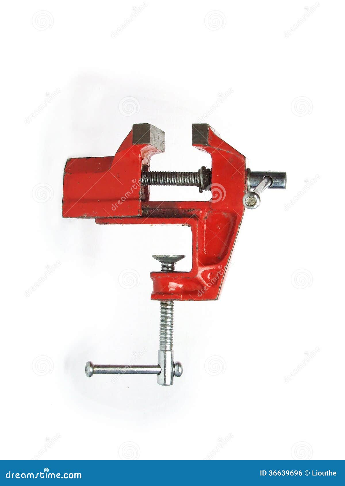 Profile View With A Human Skull X Ray Stock Image | CartoonDealer.com ...