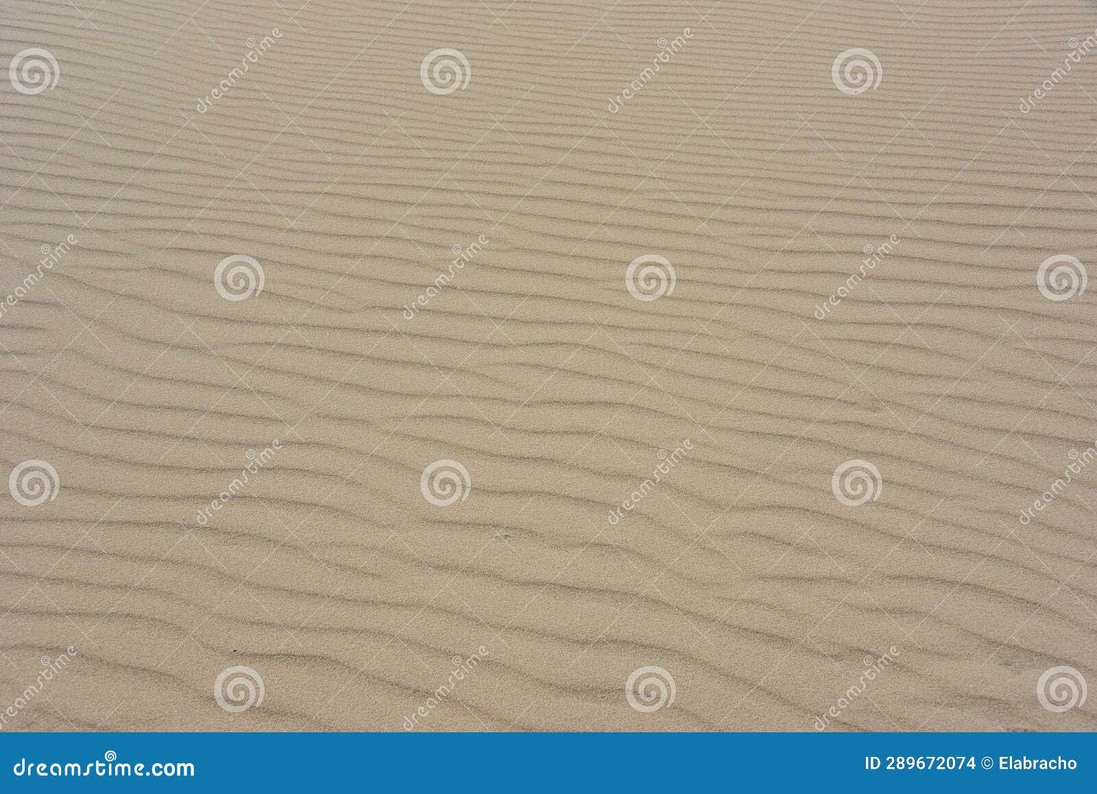Small Ripples on the Sand Dune Stock Photo - Image of textile, tropical ...