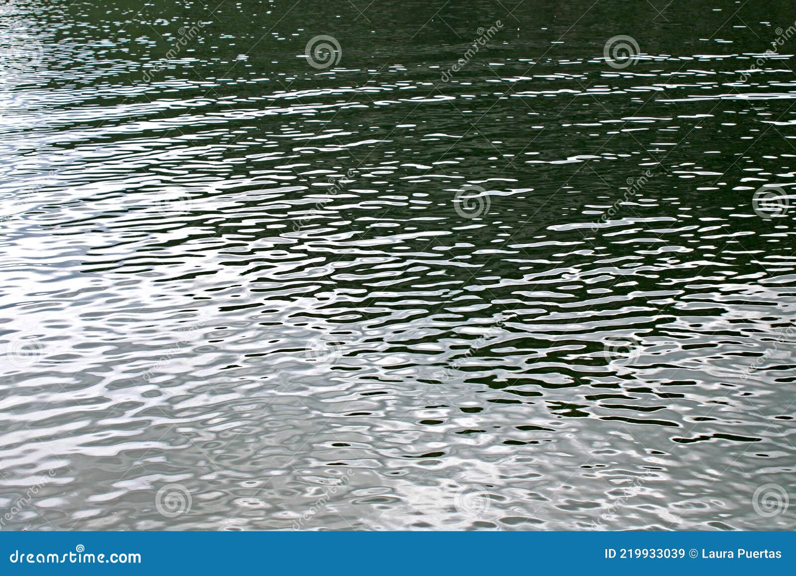 Small Ripples in the Water of a Lake Stock Image - Image of water ...
