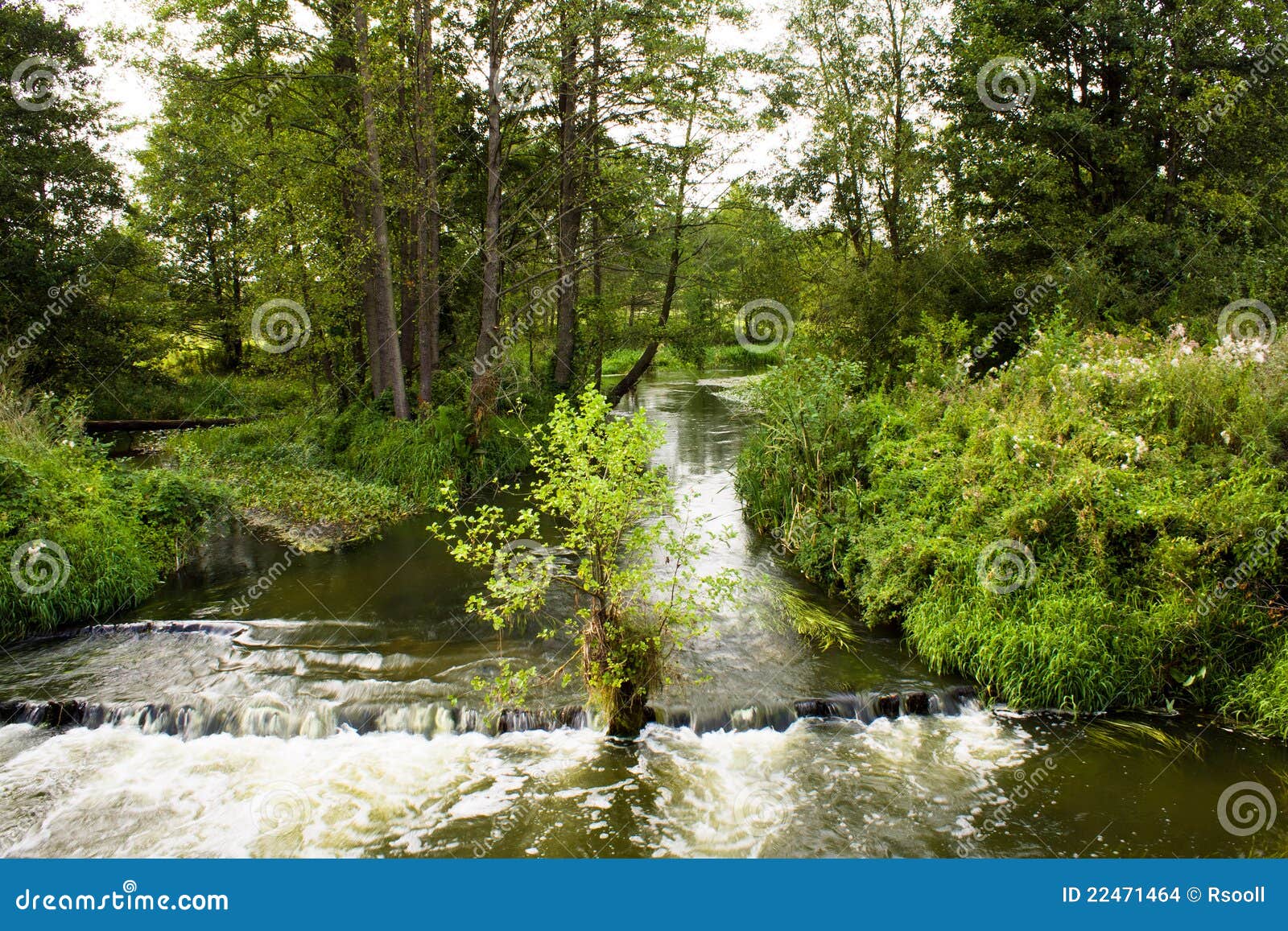 Small river stock photo. Image of environmental, park - 22471464