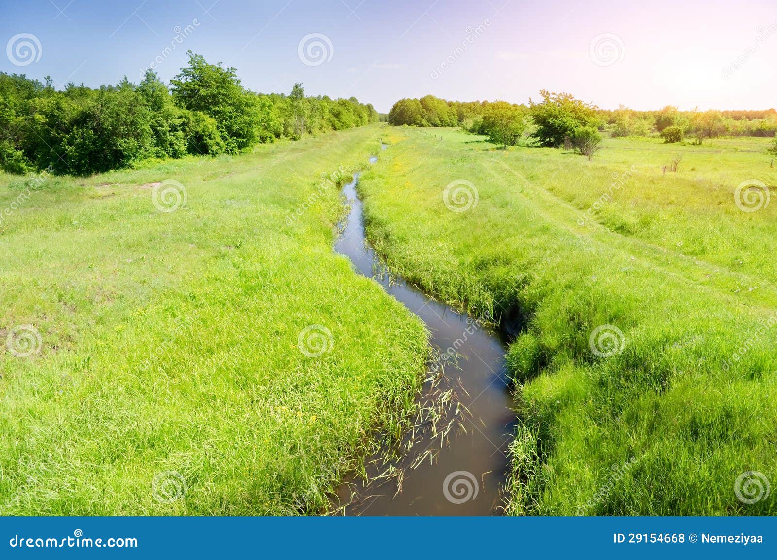 The small river stock photo. Image of small, pond, forest - 29154668