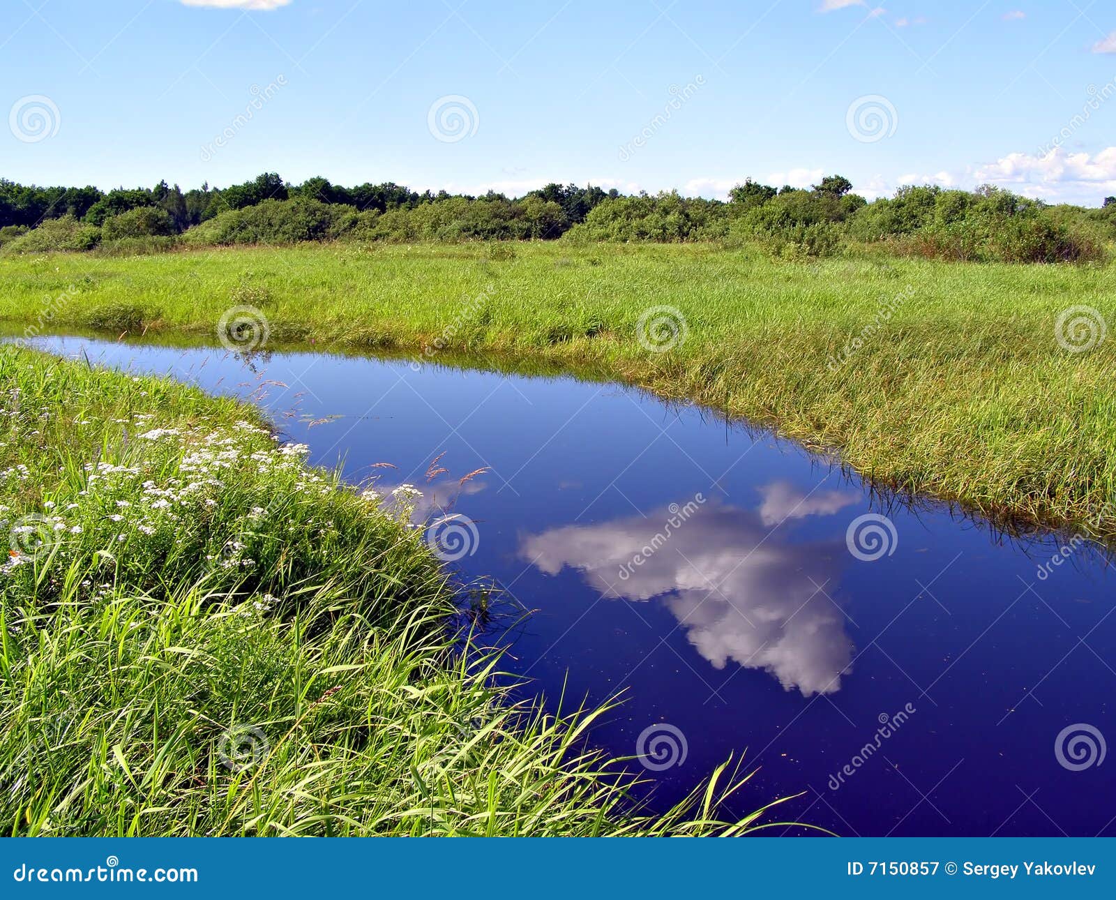 Small river stock image. Image of colorful, peaceful, foliage - 7150857