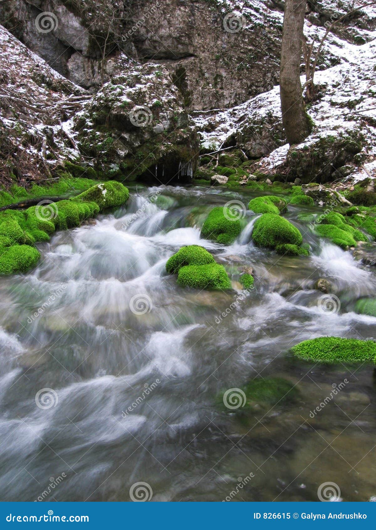 Small river stock image. Image of river, nature, green - 826615