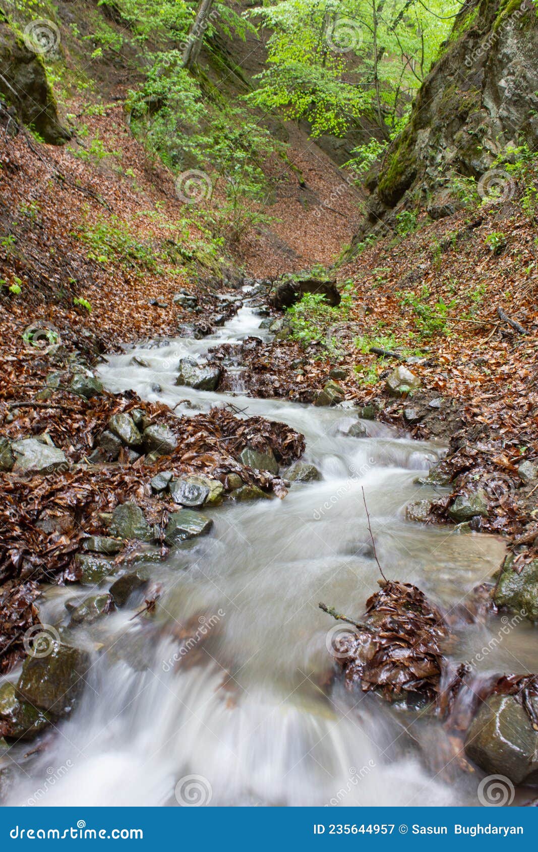 Small River Along a Narrow Gorge Stock Image - Image of hiking ...