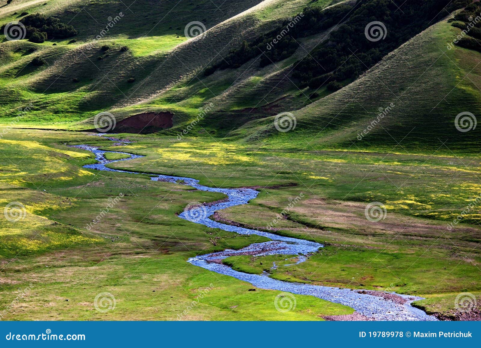 Small River in Alpine Meadows Stock Photo - Image of remote, nature ...