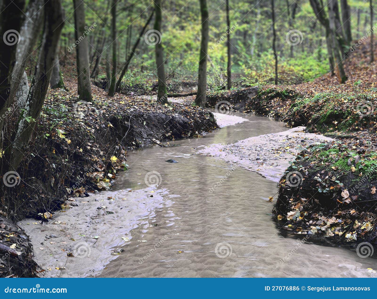 Small River at Autumn Forest Stock Photo - Image of forest, wild: 27076886